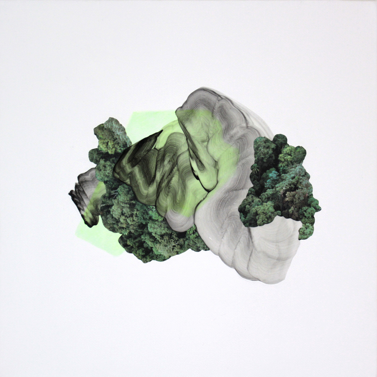 Nature Swirls — Vero Glezqui