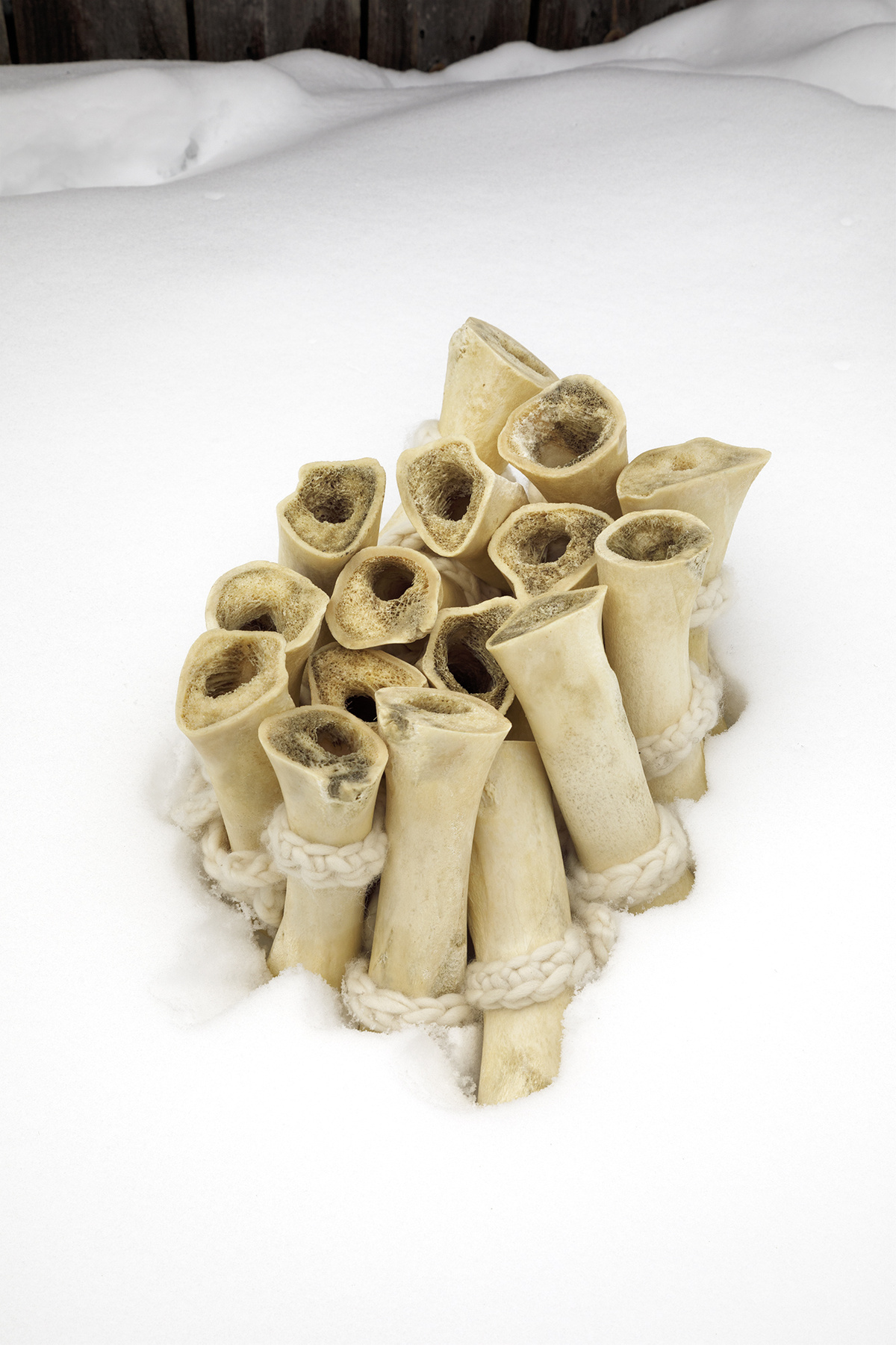 Exhibition & Press — Astro