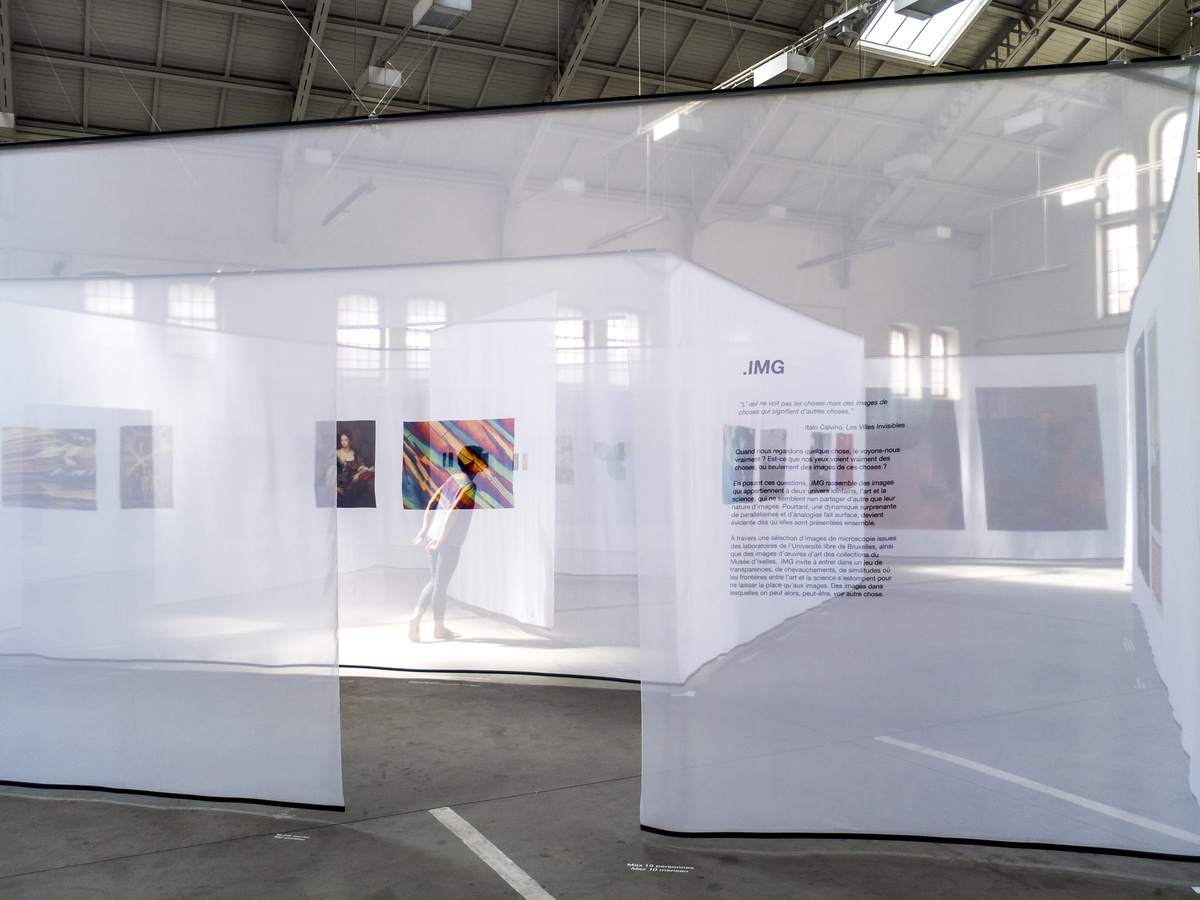 .IMG, Brussels (BE) — Marie Douel