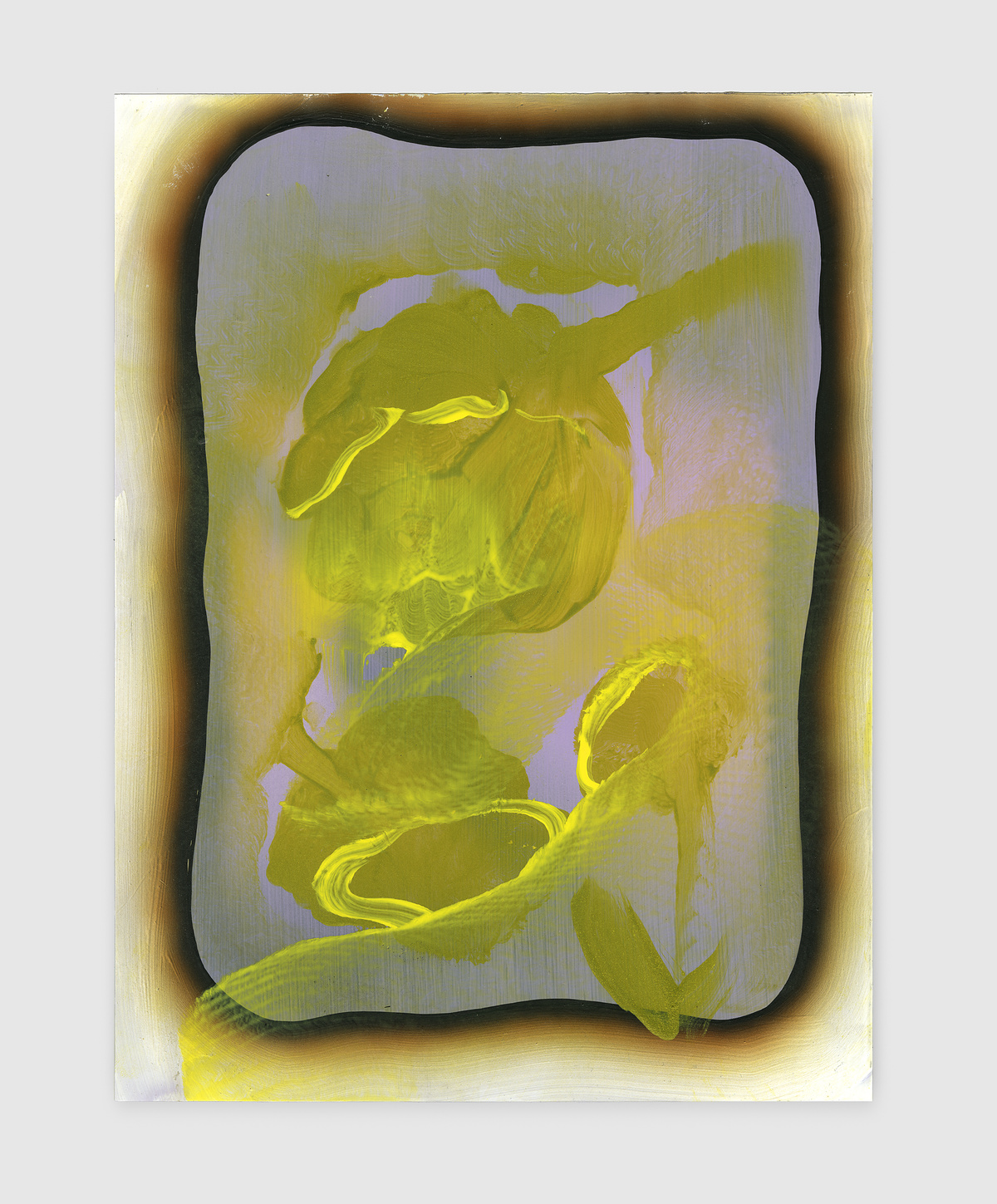 Untitled_flower — Sam Weber