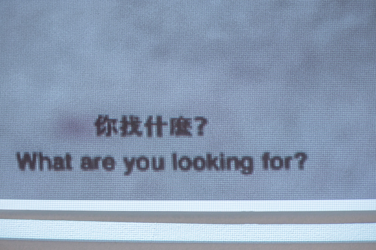 Excessively Perfect — Liao Jiaming