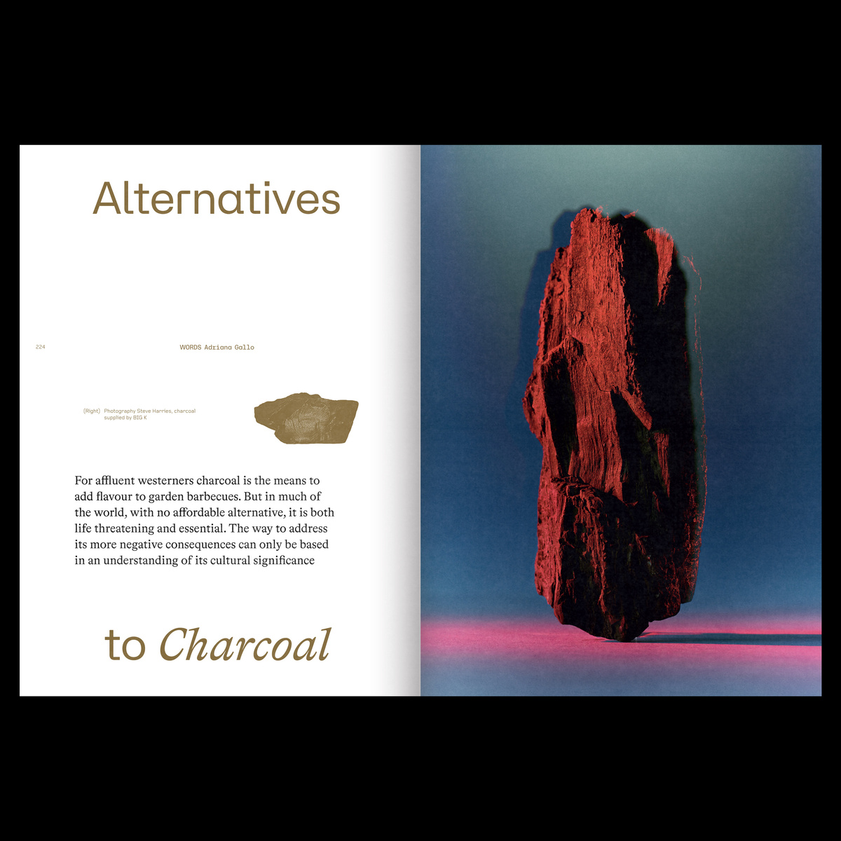 Alternatives to Charcoal — Adriana Gallo