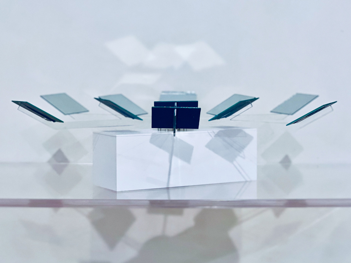 Value(s): Raphael Arar — Carnation Contemporary