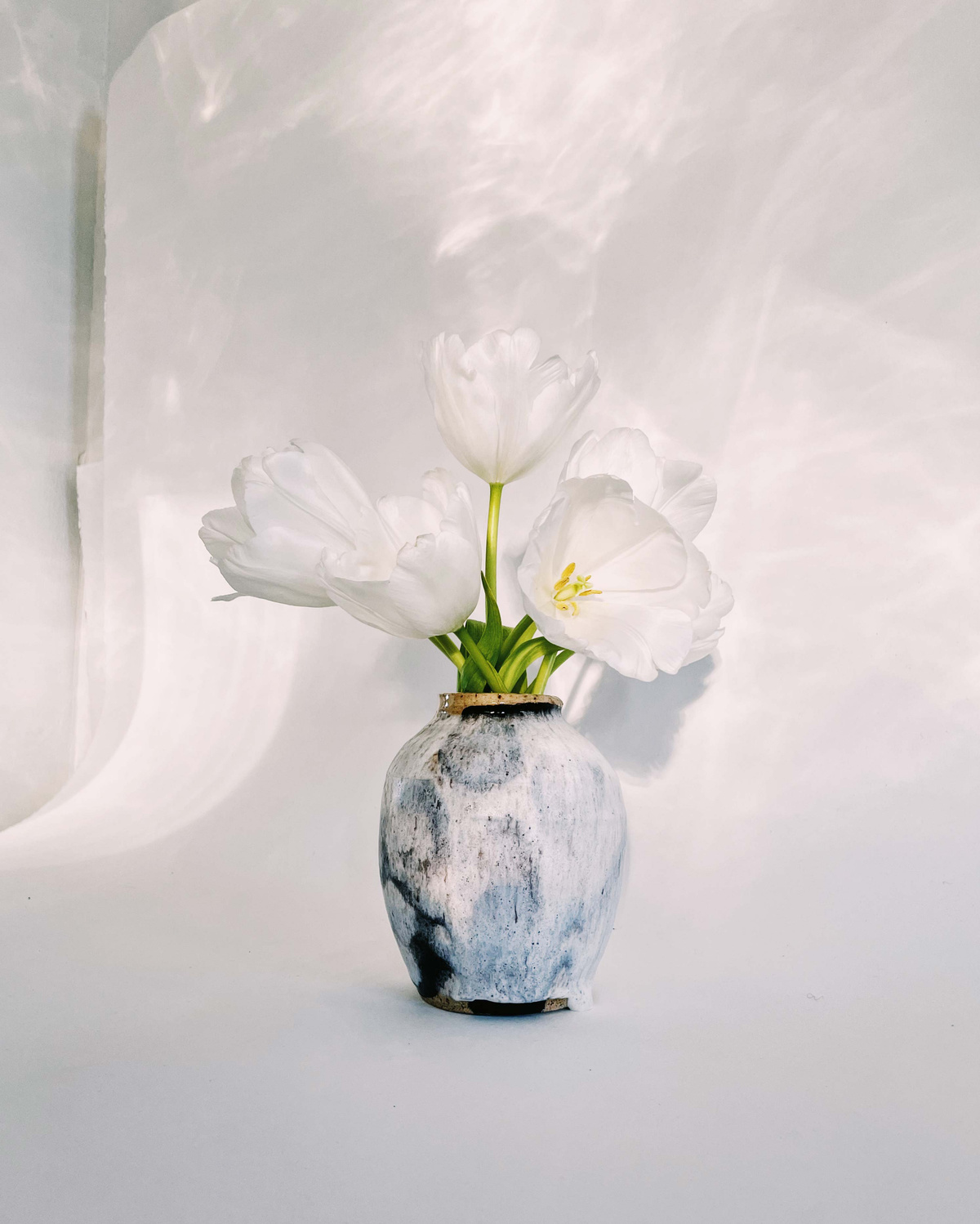 Ceramics — Lisa Larson-Walker