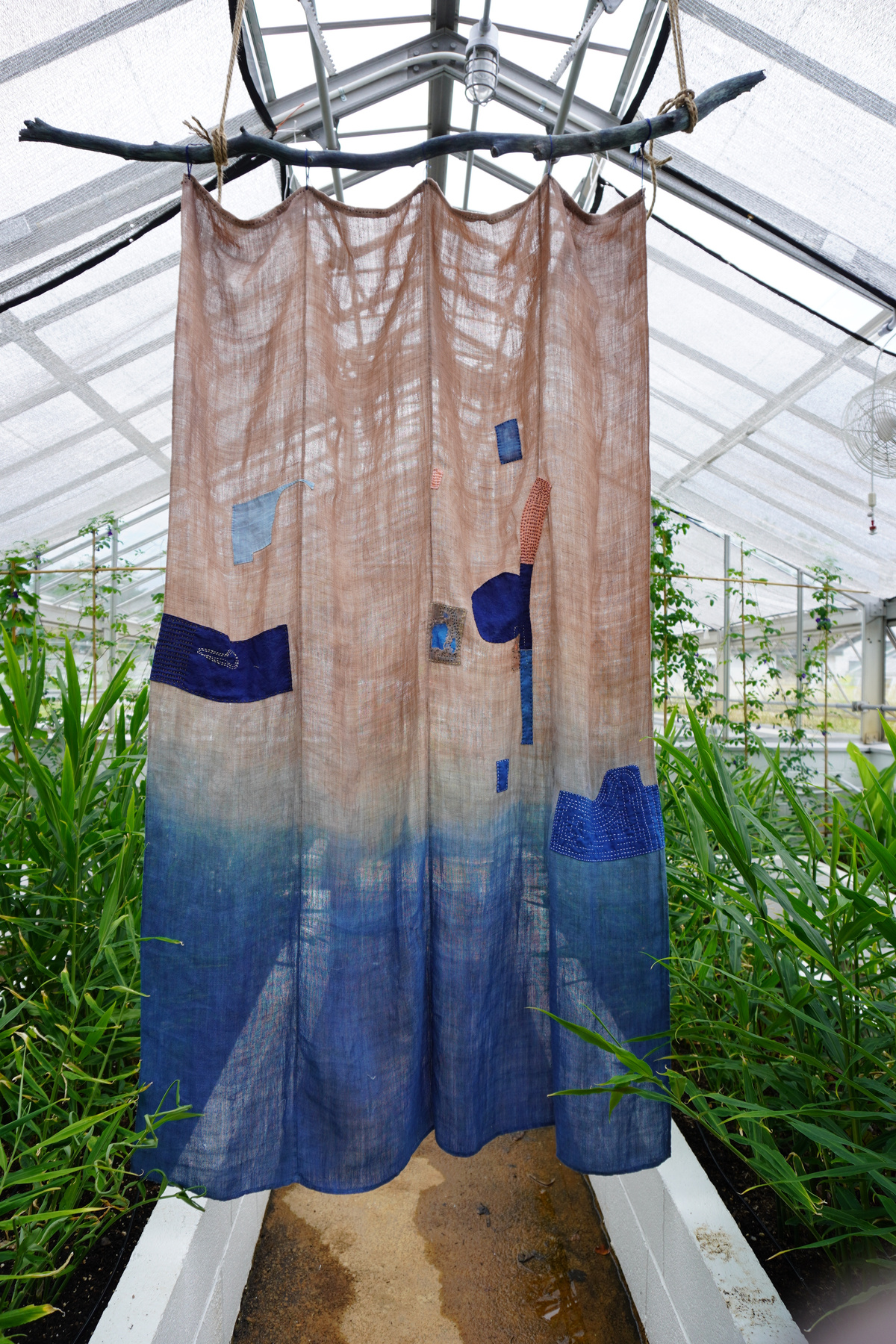 Green house — rosachang