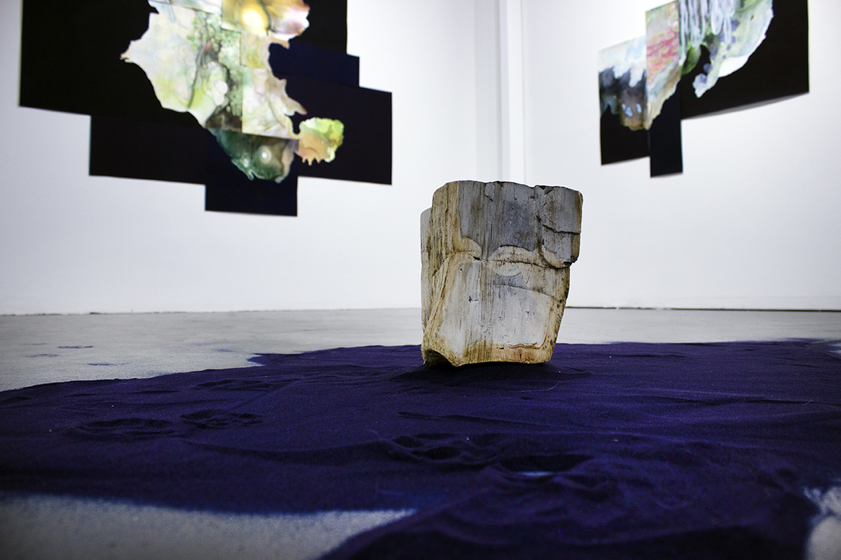 Absent Presence: Susan Murrell — Carnation Contemporary