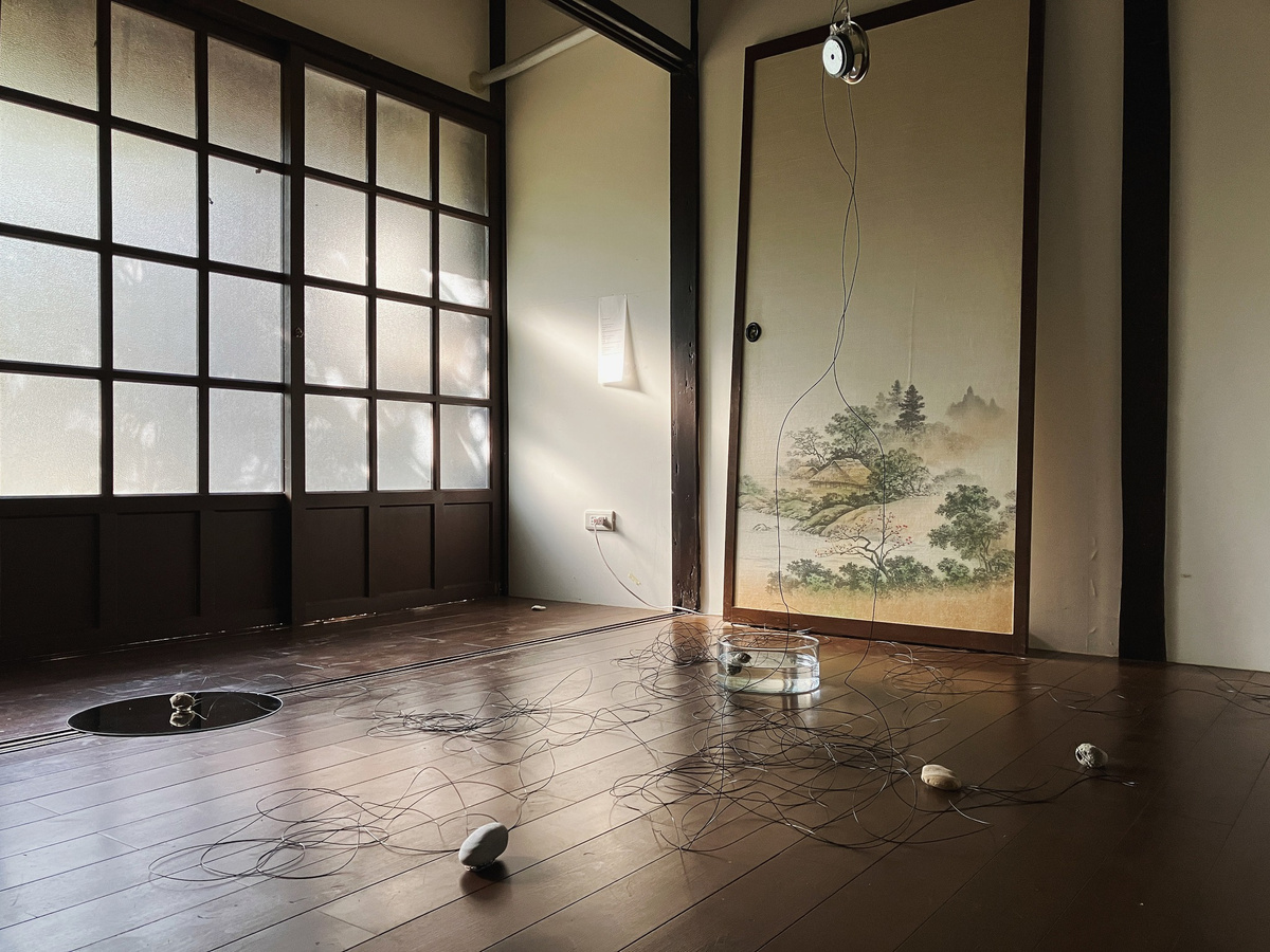 Street Tree — Iris Chun-Tzu Chang ｜ 張 君 慈