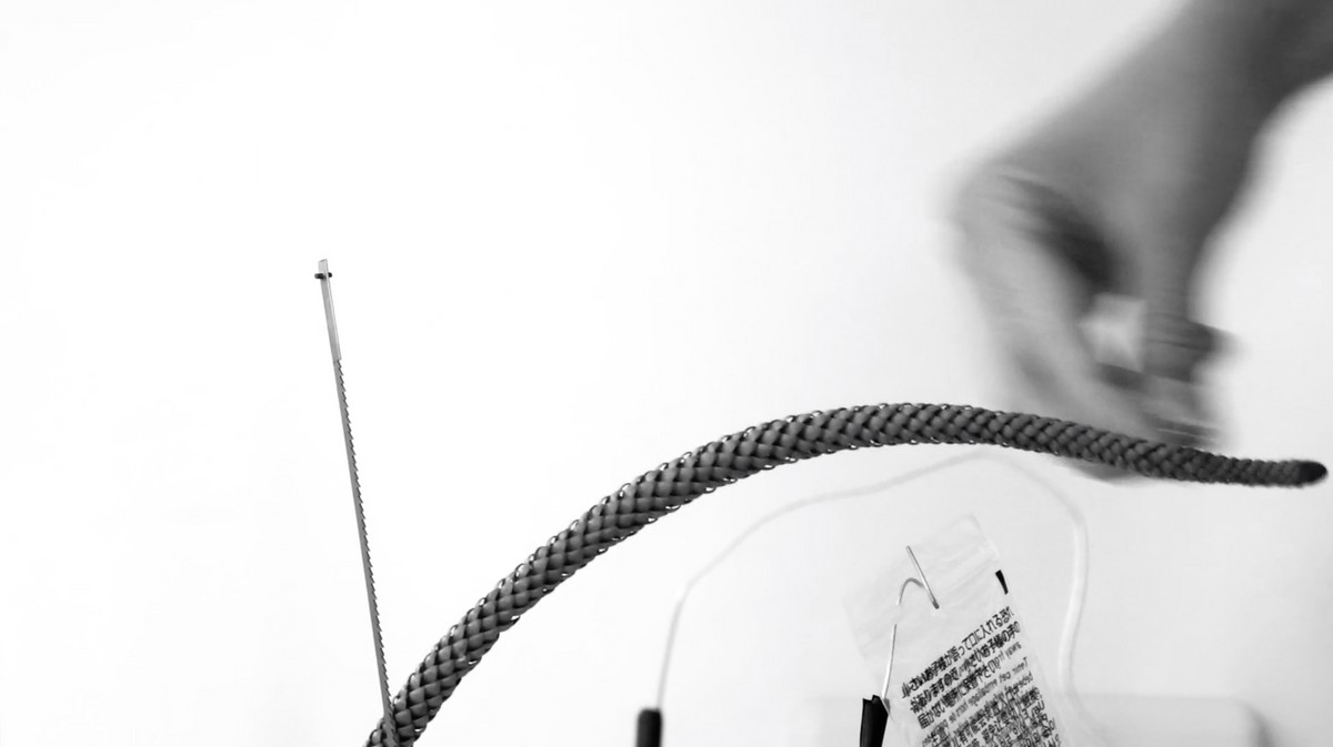 she.PHASE — sam_bourgault