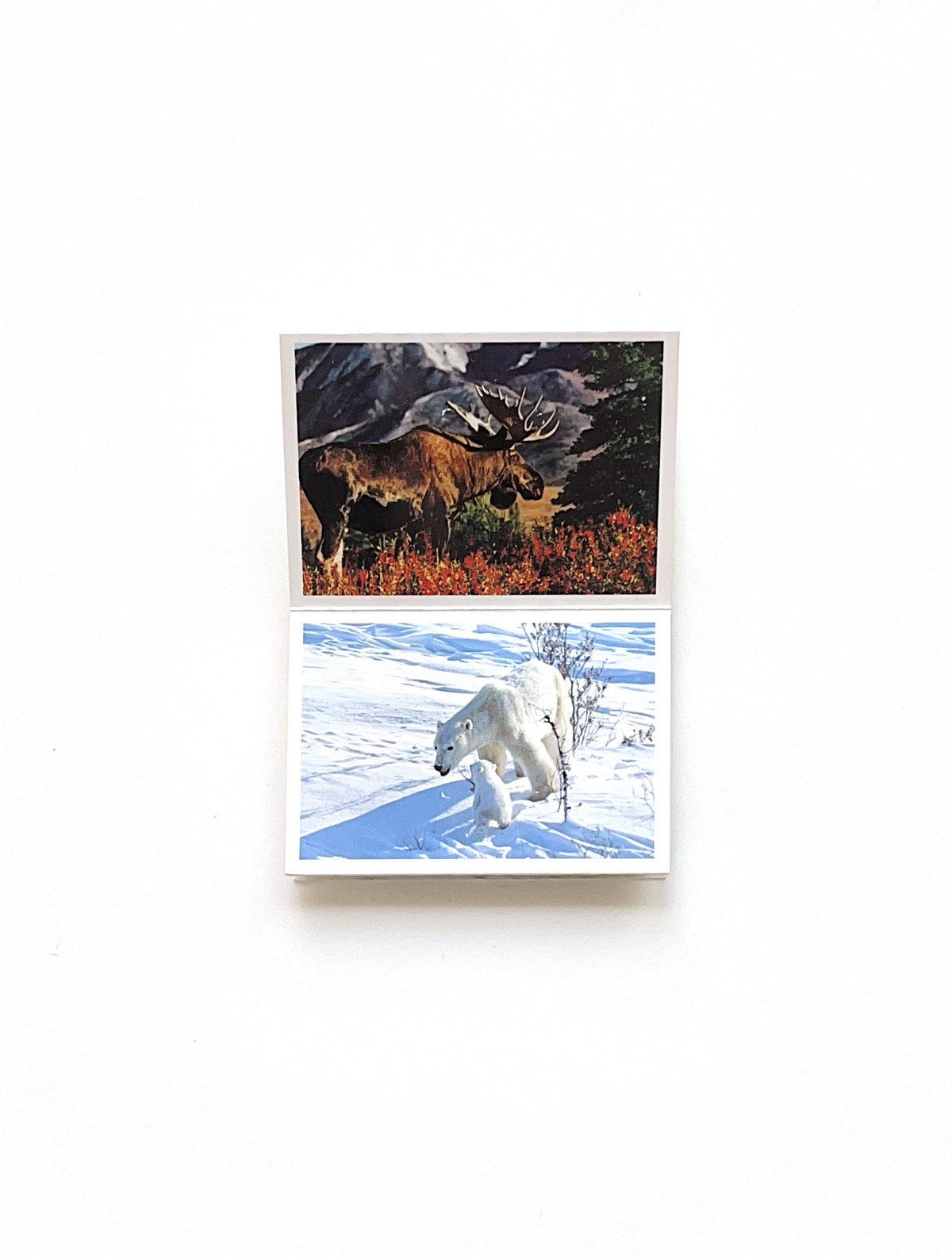 Alaska photo book — Hawhy