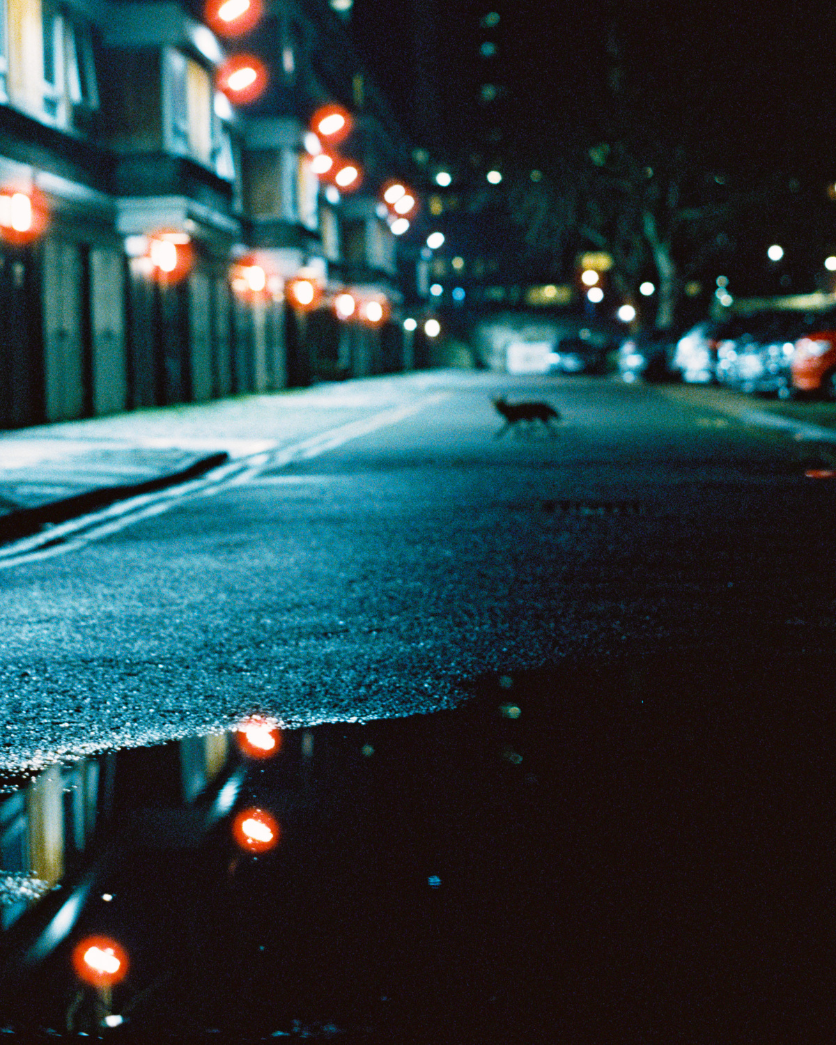 South London by Night — Sam Nicklin | Bad Pictures