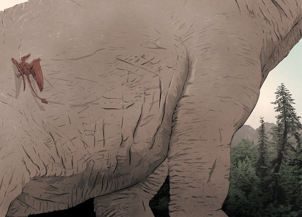 BONUS DINOSAURS — Vector That Fox