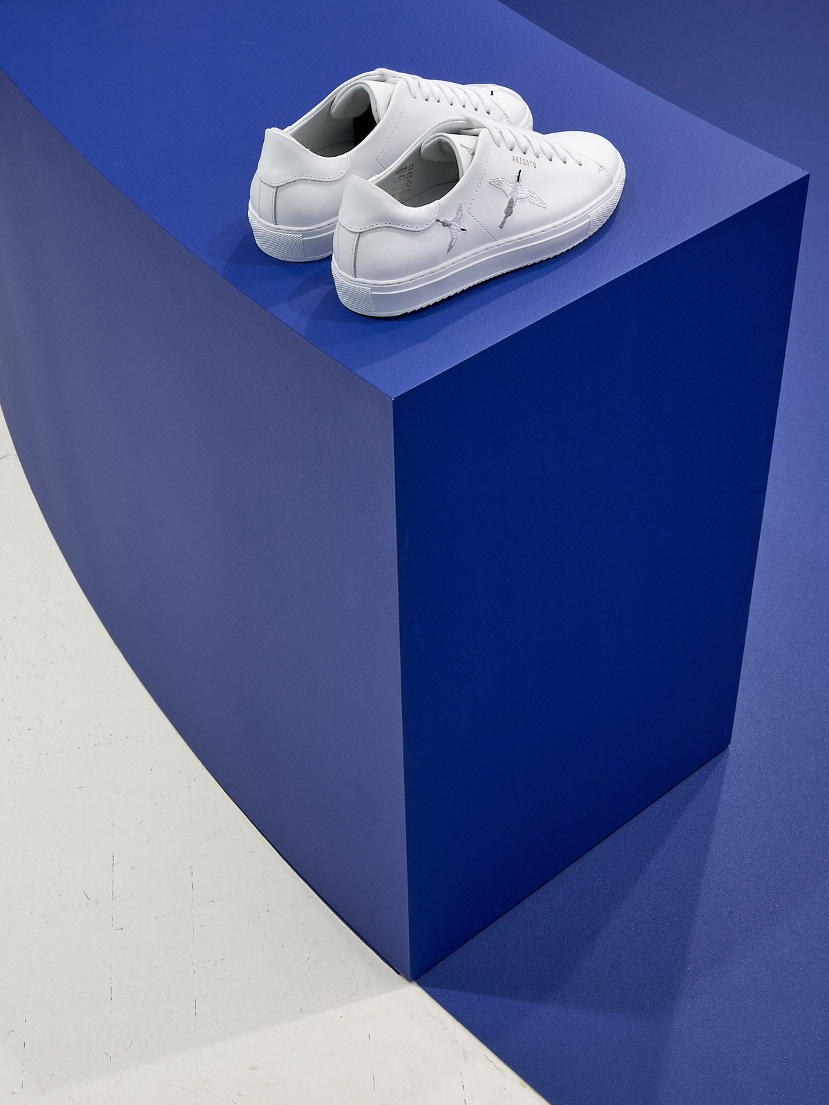 Pop-Up — Daniel Hewitt Photographer