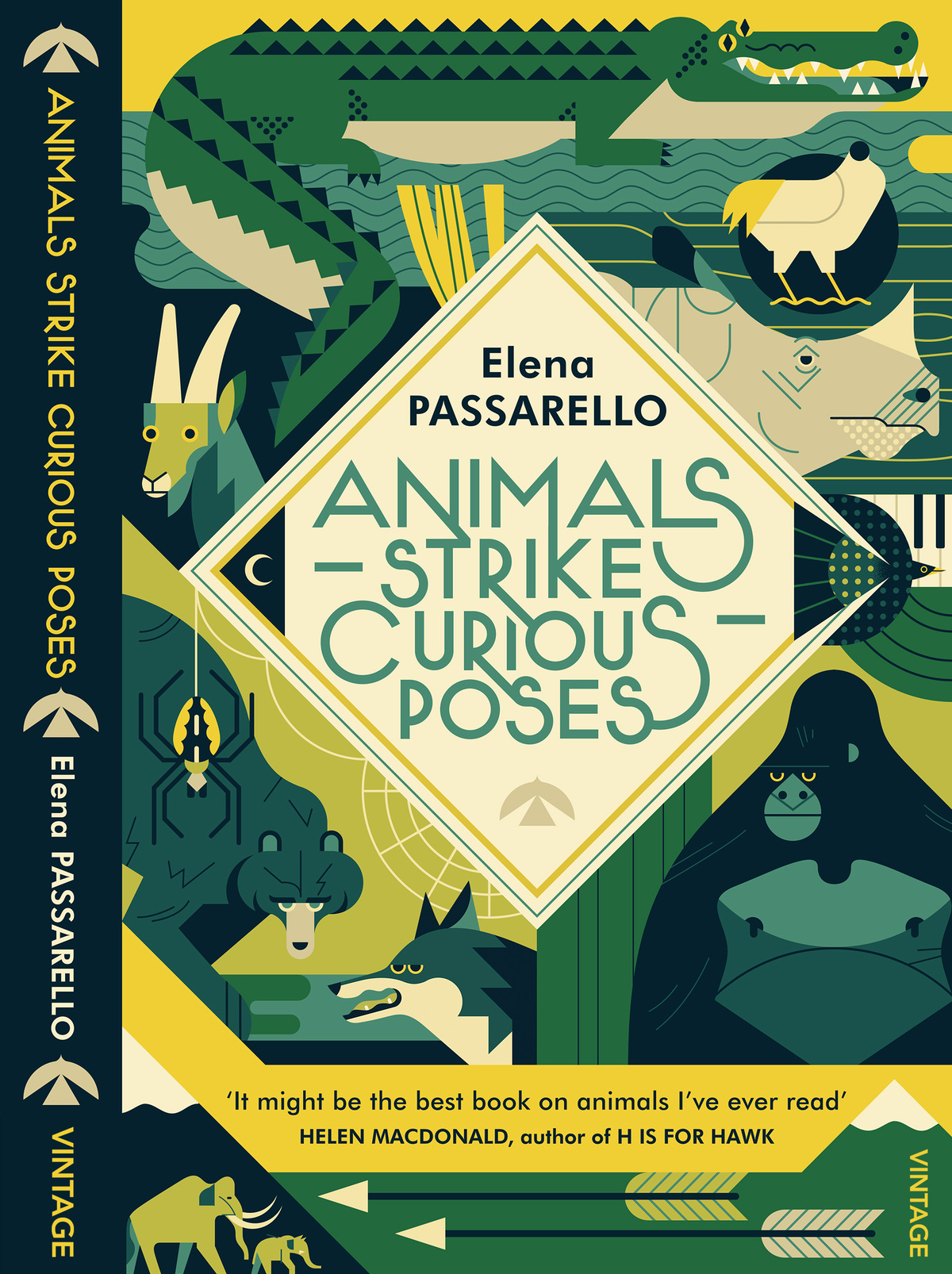 Animals Strike Curious Poses — Owen Davey Illustration