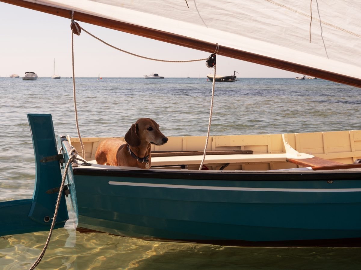 Rudder Gudgeon — The Wooden Boatshop Sorrento Australia