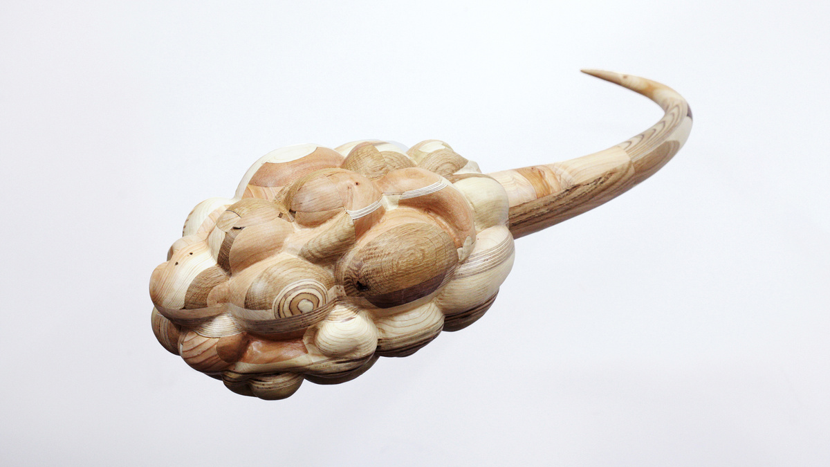 Flying Nimbus — Jinseok Choi