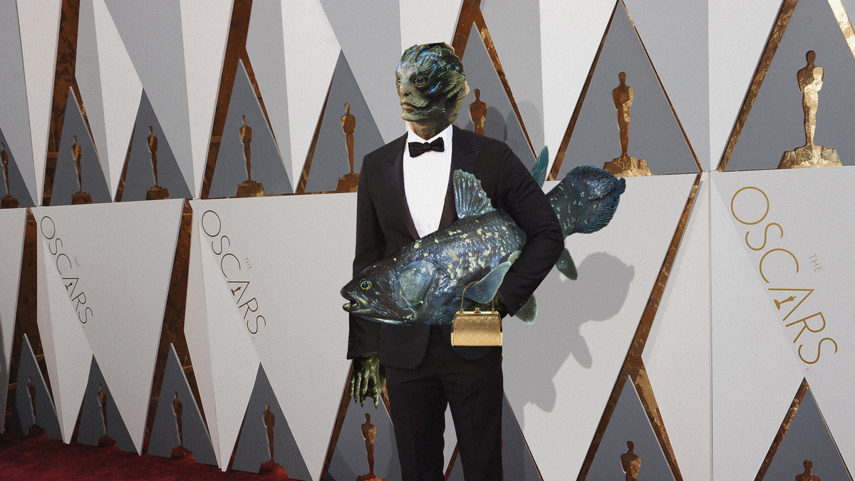 News Photos — Libby McGuire