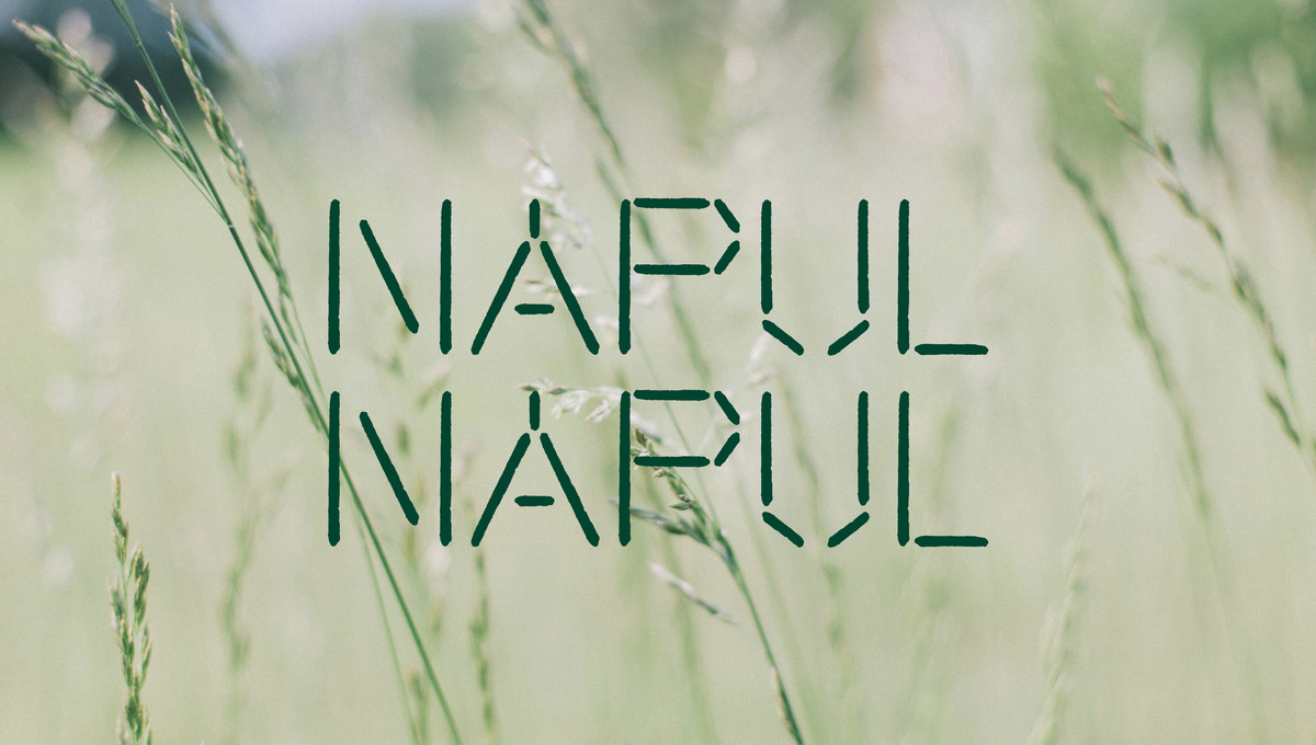 Napul Napul Brand Identity Design — littlebylittle