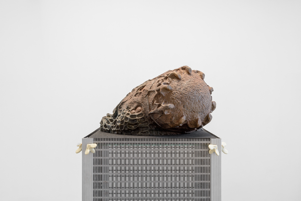 Un-head — Frederik Exner