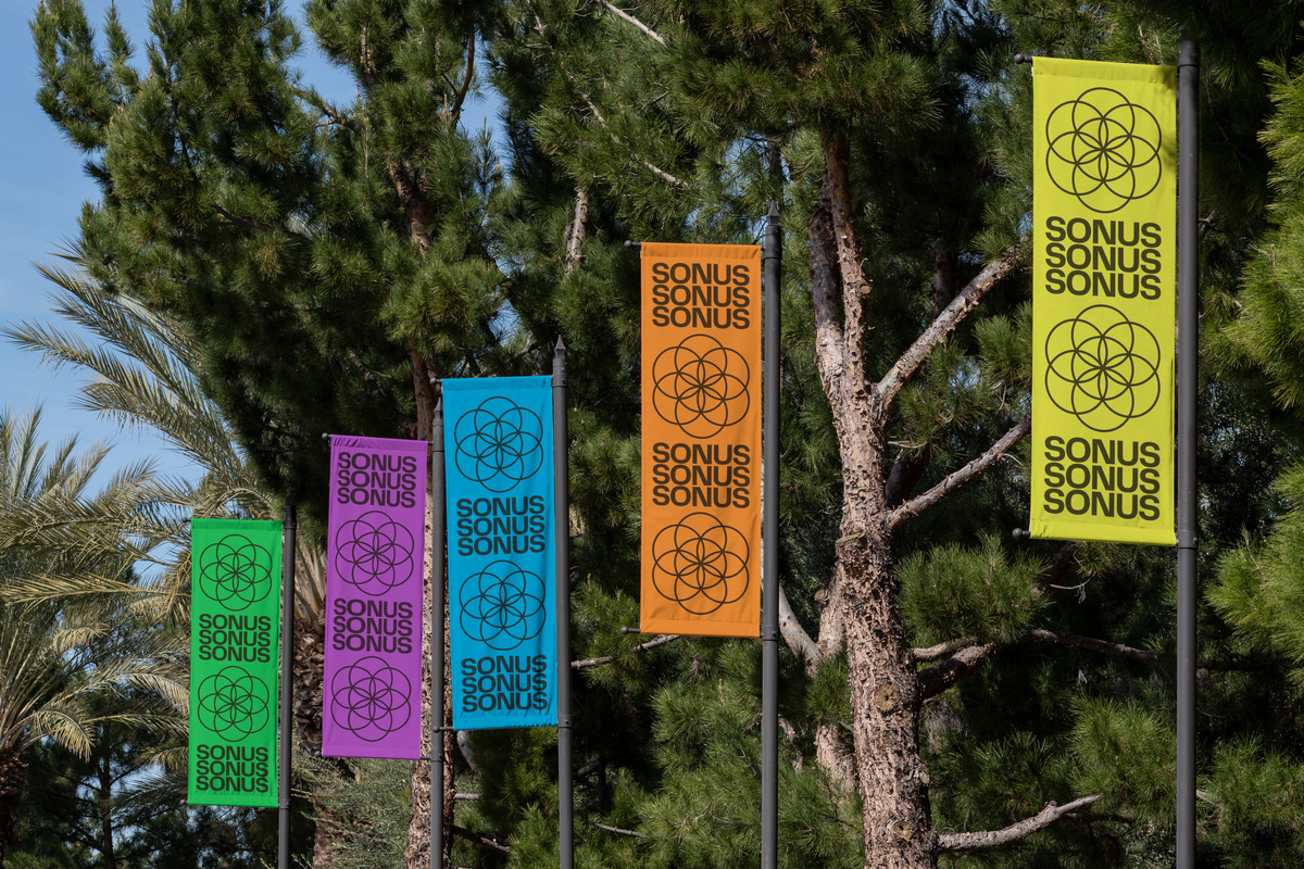 Minimal Collective — Tim Tijink