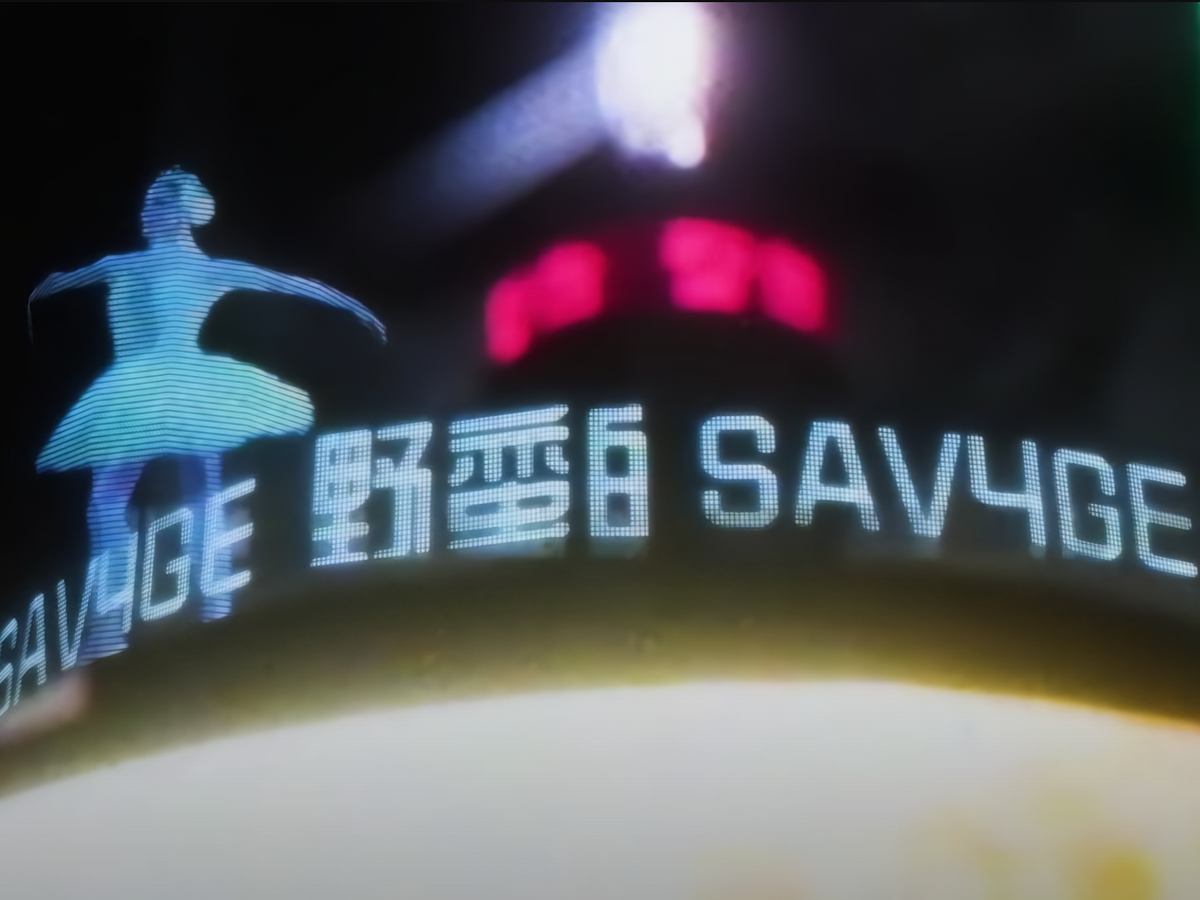 Megan Thee Stallion - Savage — Ned Stasio