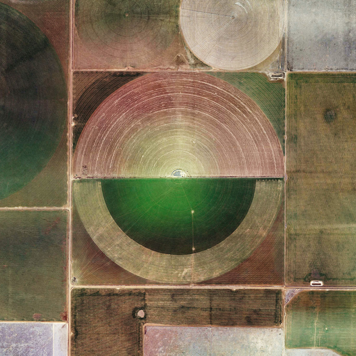 The Jefferson Grid — Shabtai Pinchevsky