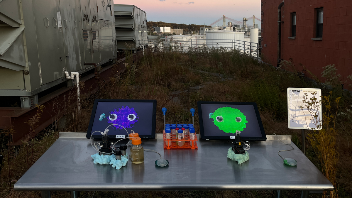 01 Biotopy — Wendi Yan