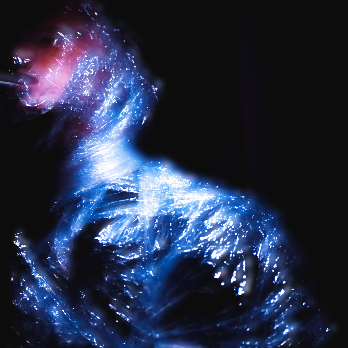 MUSIC — GiNN 諸葛靖 Official Website