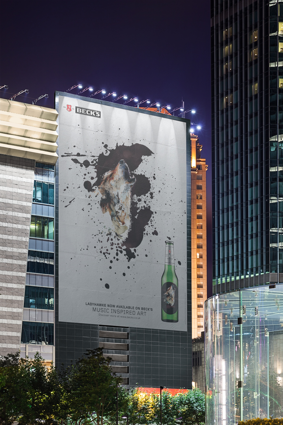 molly grace — Jim Bletsas Portfolio