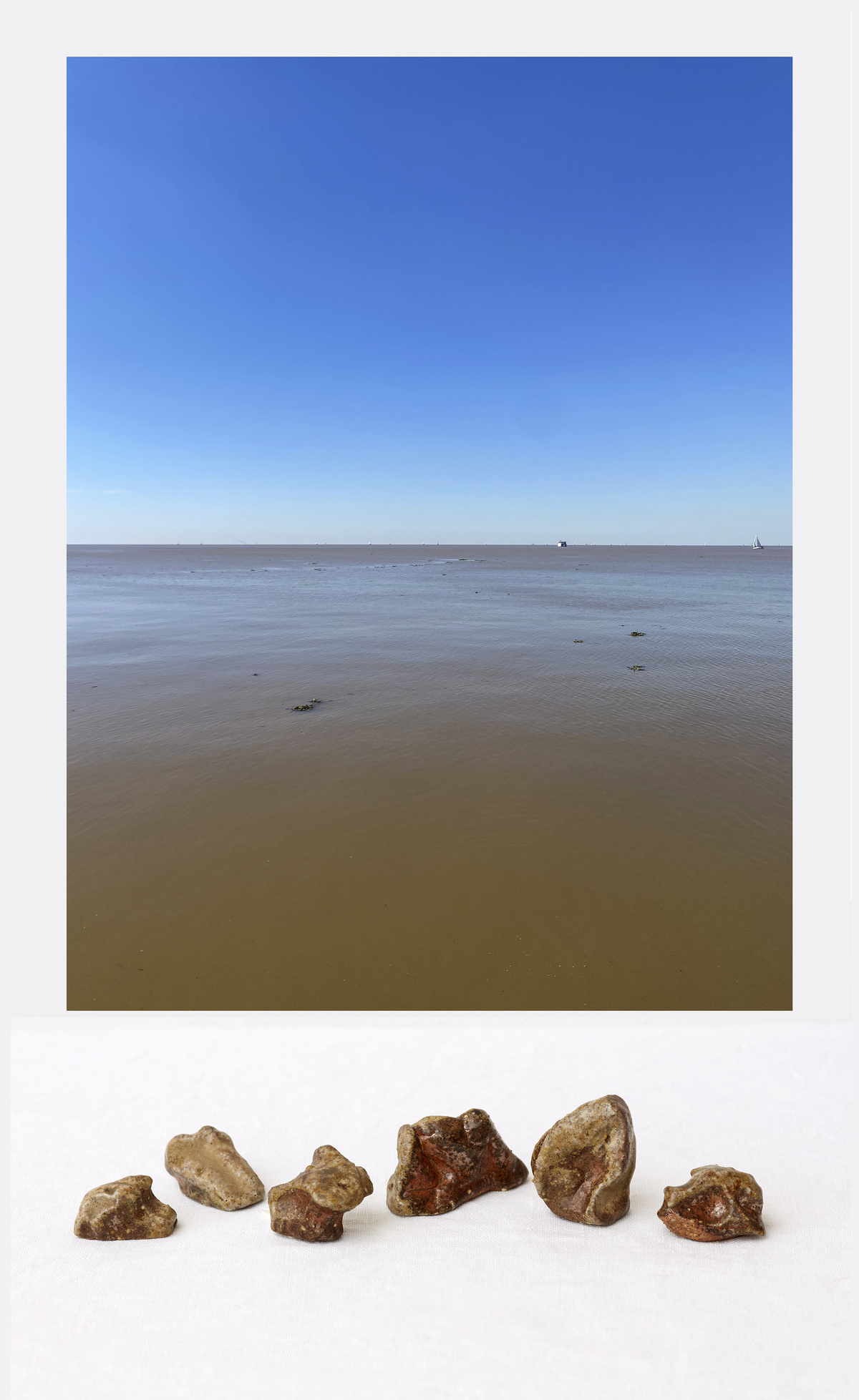 in memoriam — Joanna Seitz