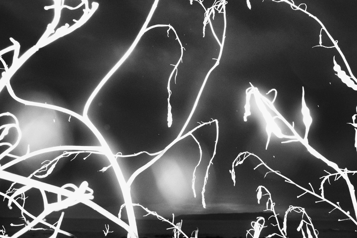 Francesca Ayers & Samuel Scully — PhotoForum Exhibitions