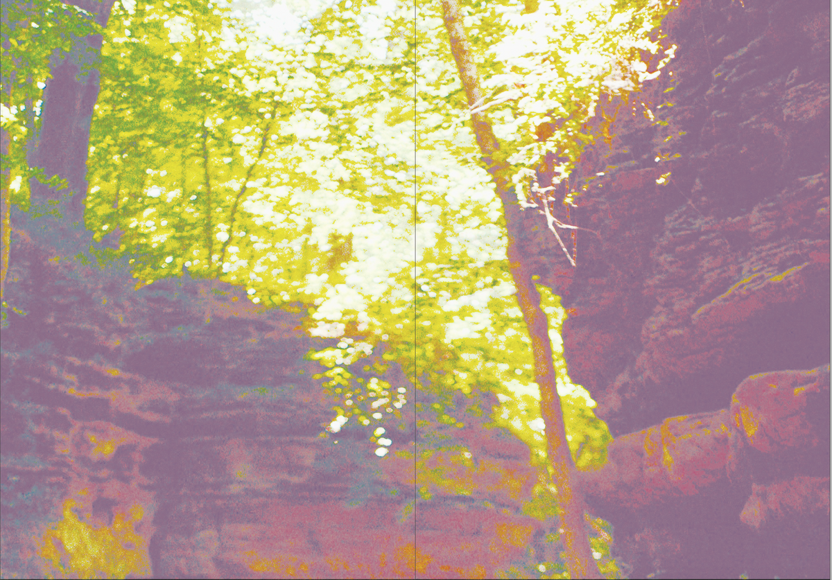 about — quentin pascal freeman