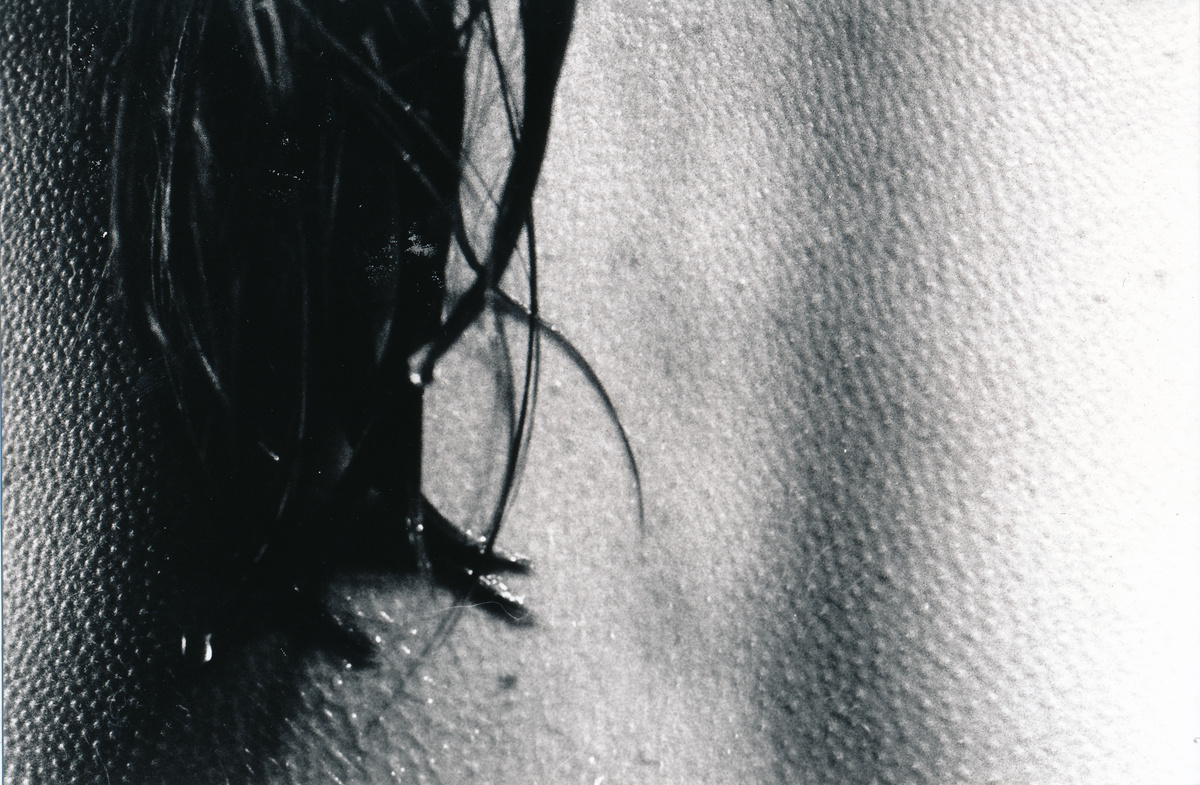 Trace Overview — Sophie Standford Website