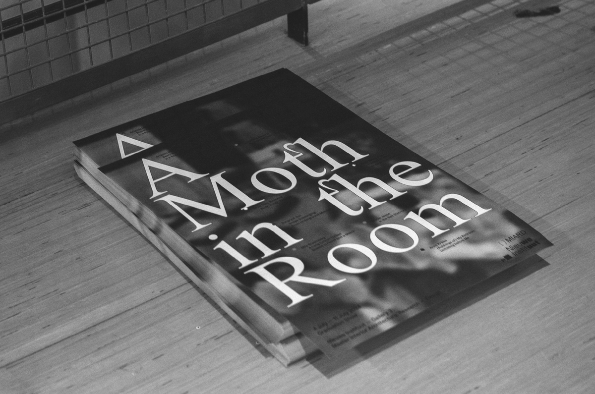 A Moth in the Room — Figure Ten