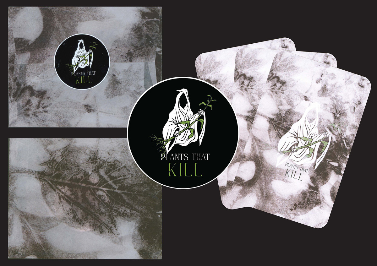 Raquel Rabines — MFA 2024 Exhibition