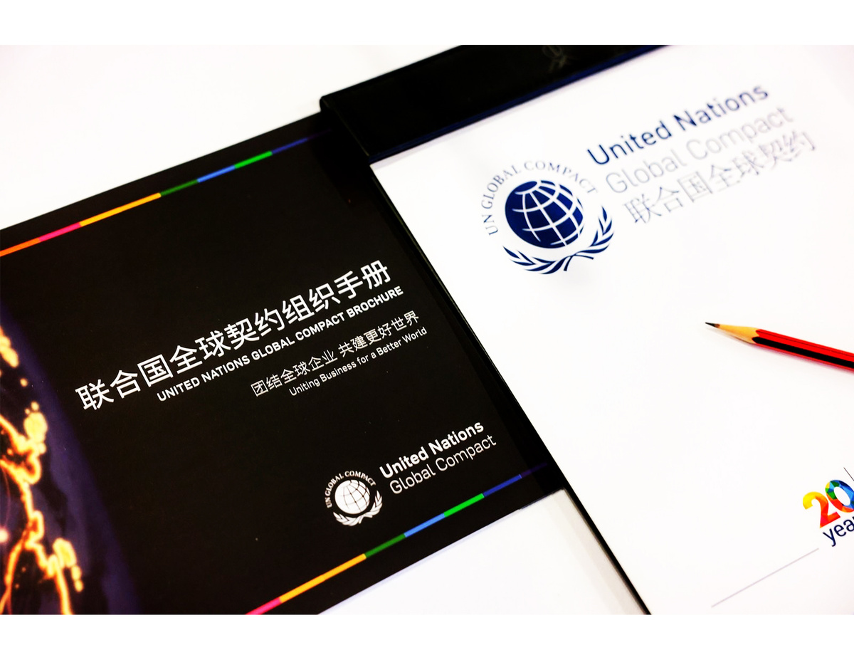 UNGC — Annie Yining Chen Work