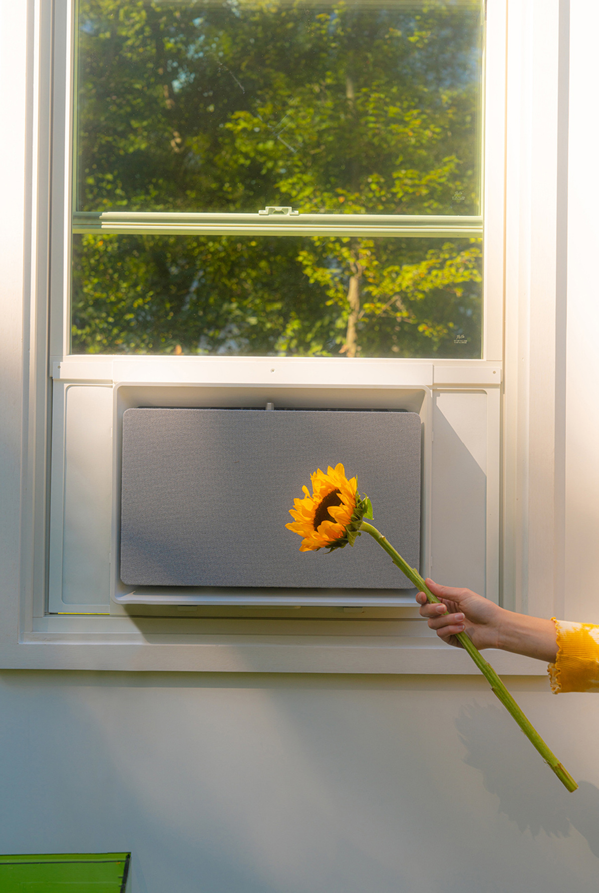 JULY — Ryan Duffin