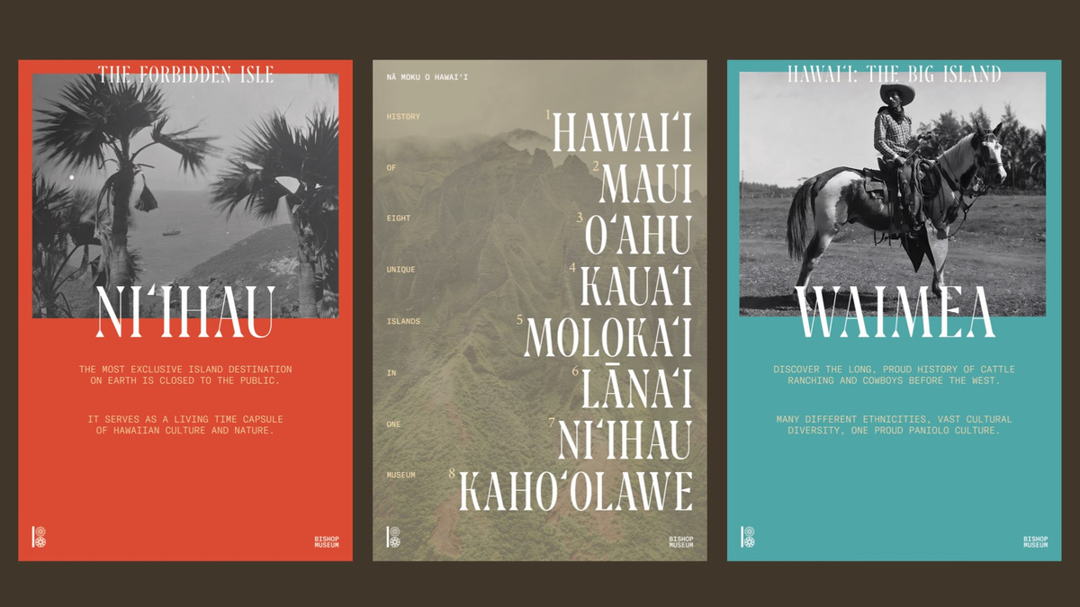 Bishop Museum — Lynnea Jeung Portfolio