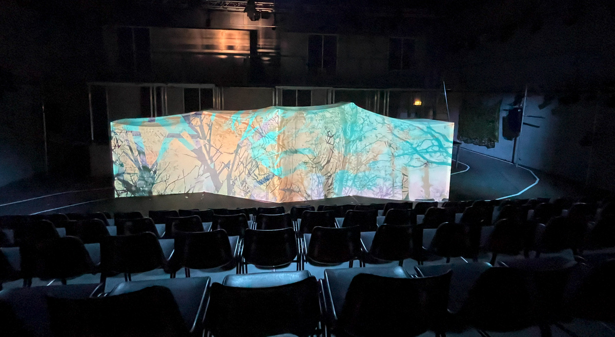 der Riss — franziskathurner