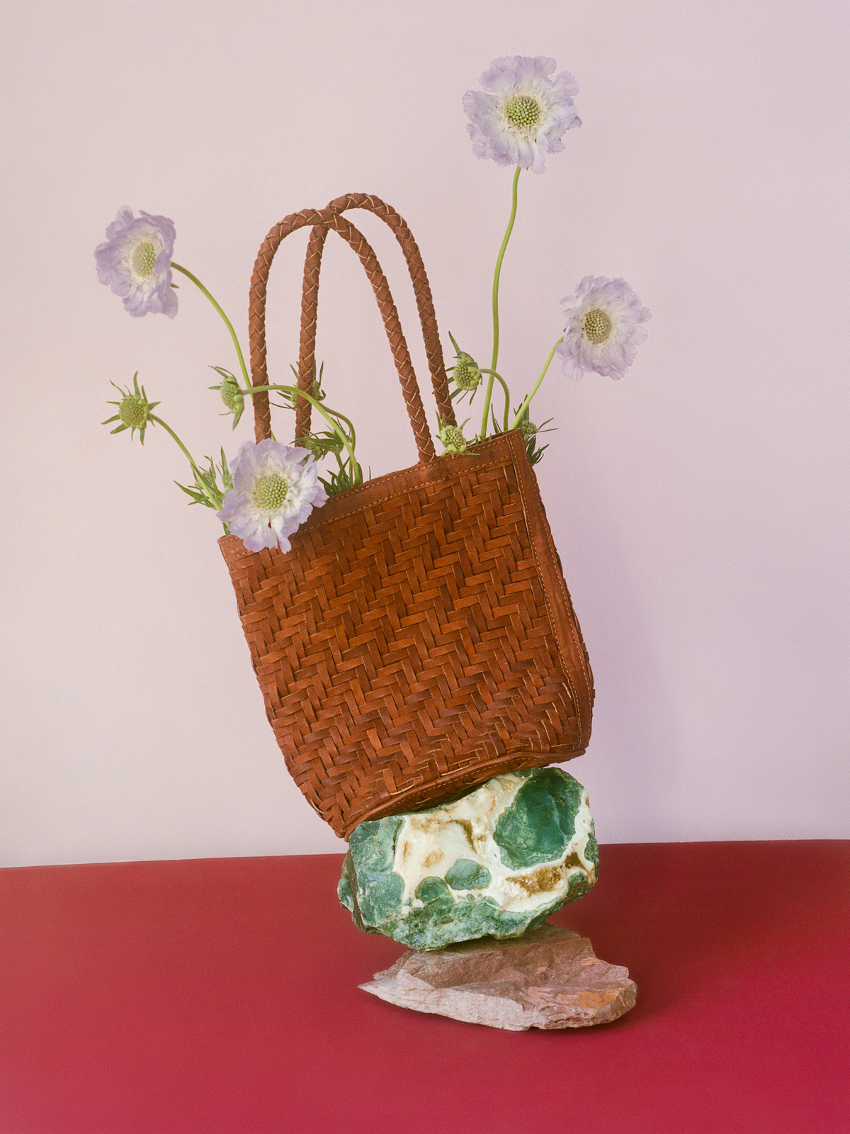 STILL LIFE — Marina Bevilacqua