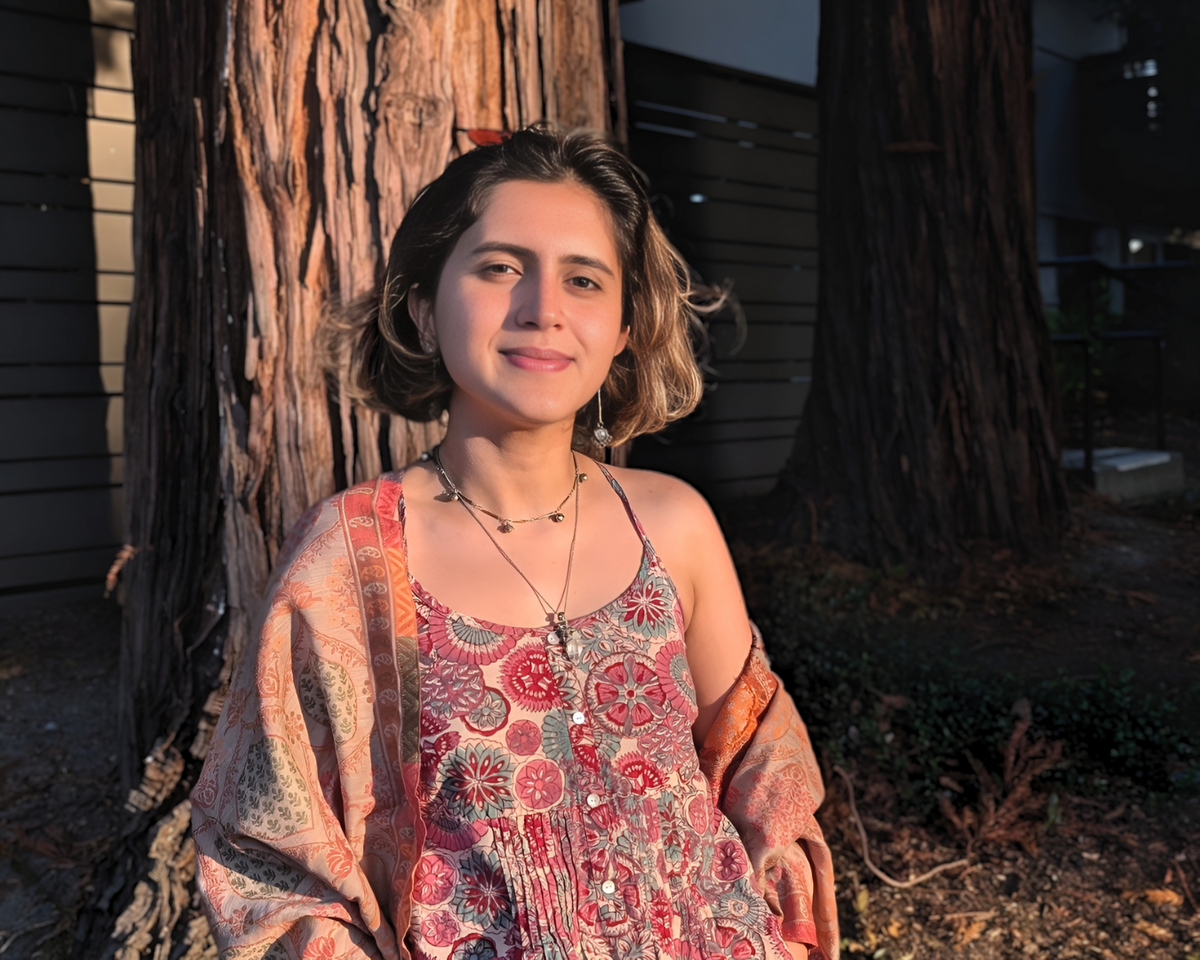 About Me — mrinalini's work