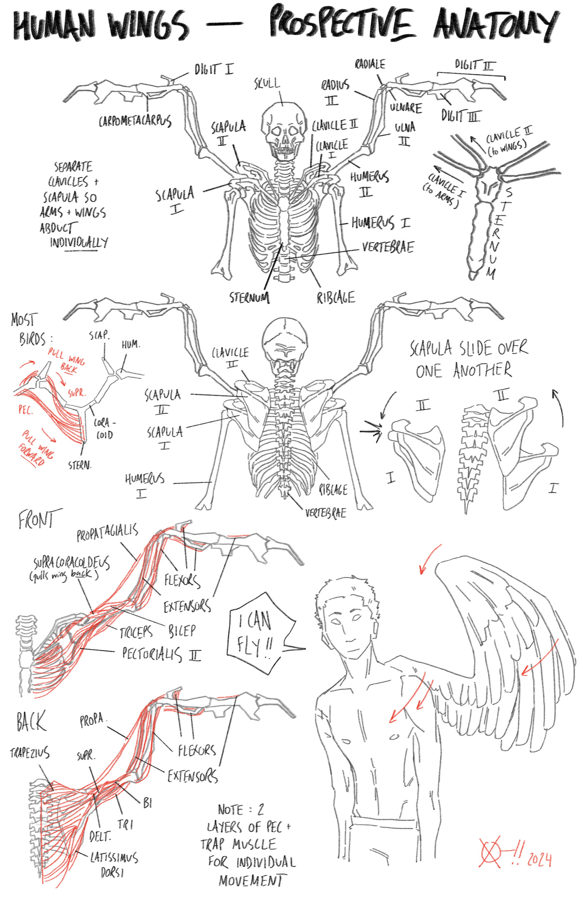 Human Body: Inside and Out — Miles José Ferrer