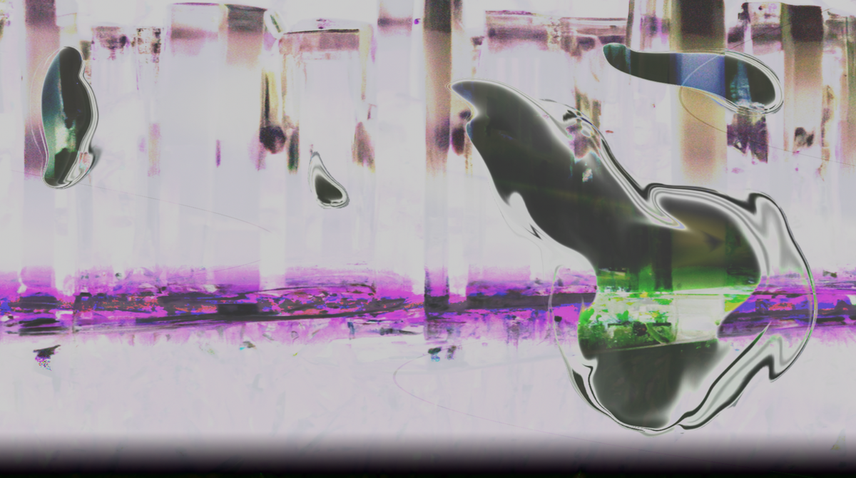 Vampire Reflections — TWIST MAG