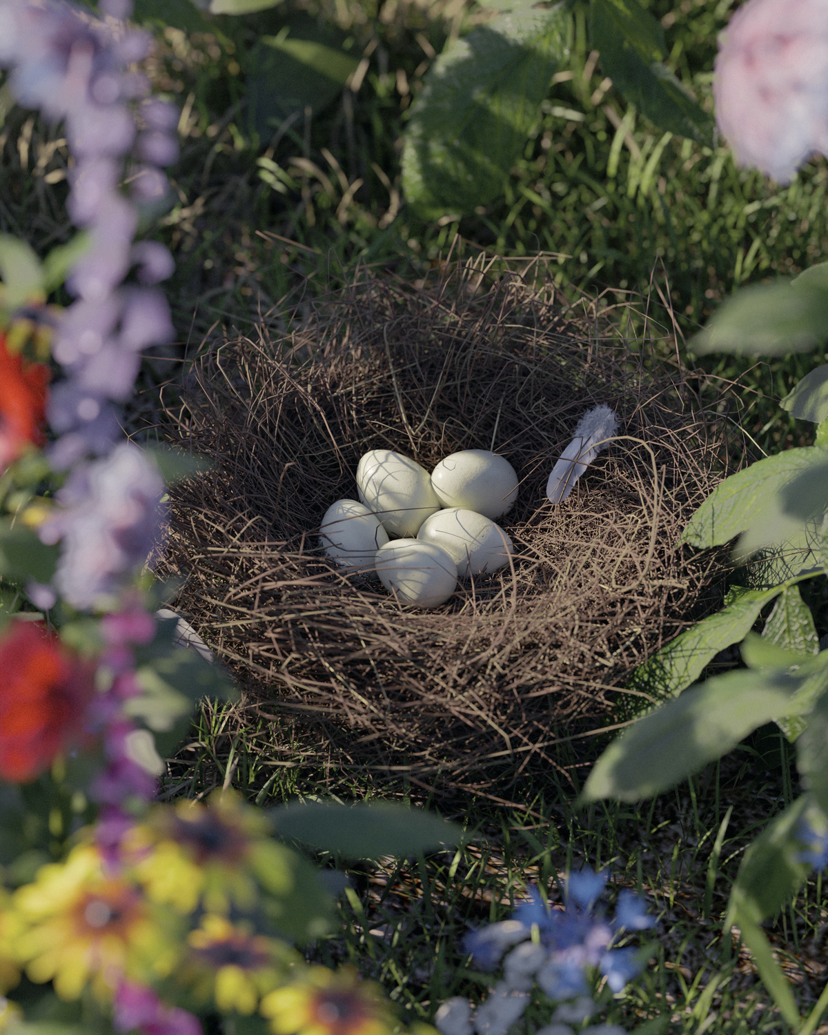 Homepage — Benjamin Freedman