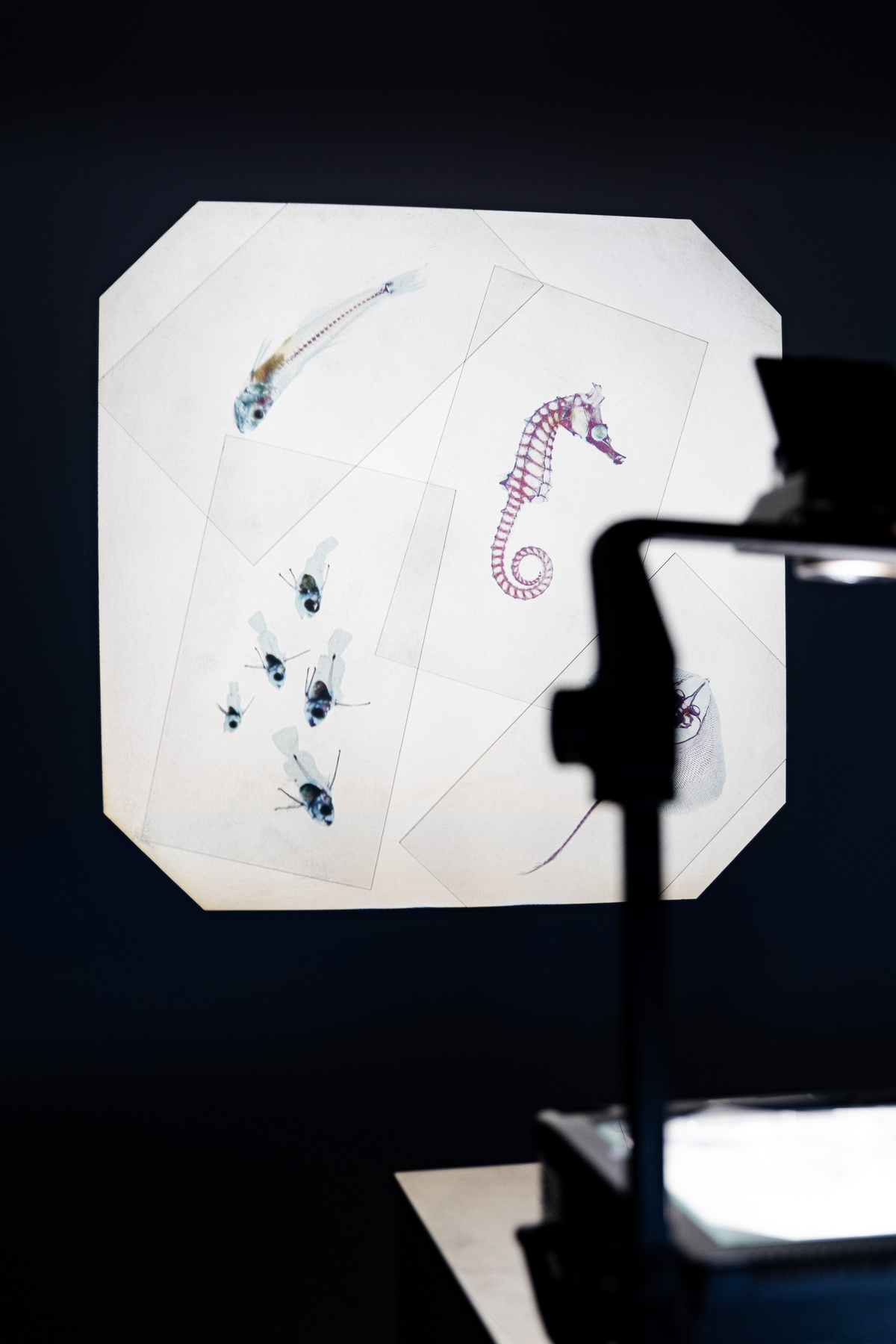 Batho-monitoring — HSH(Han Sung Hoon)