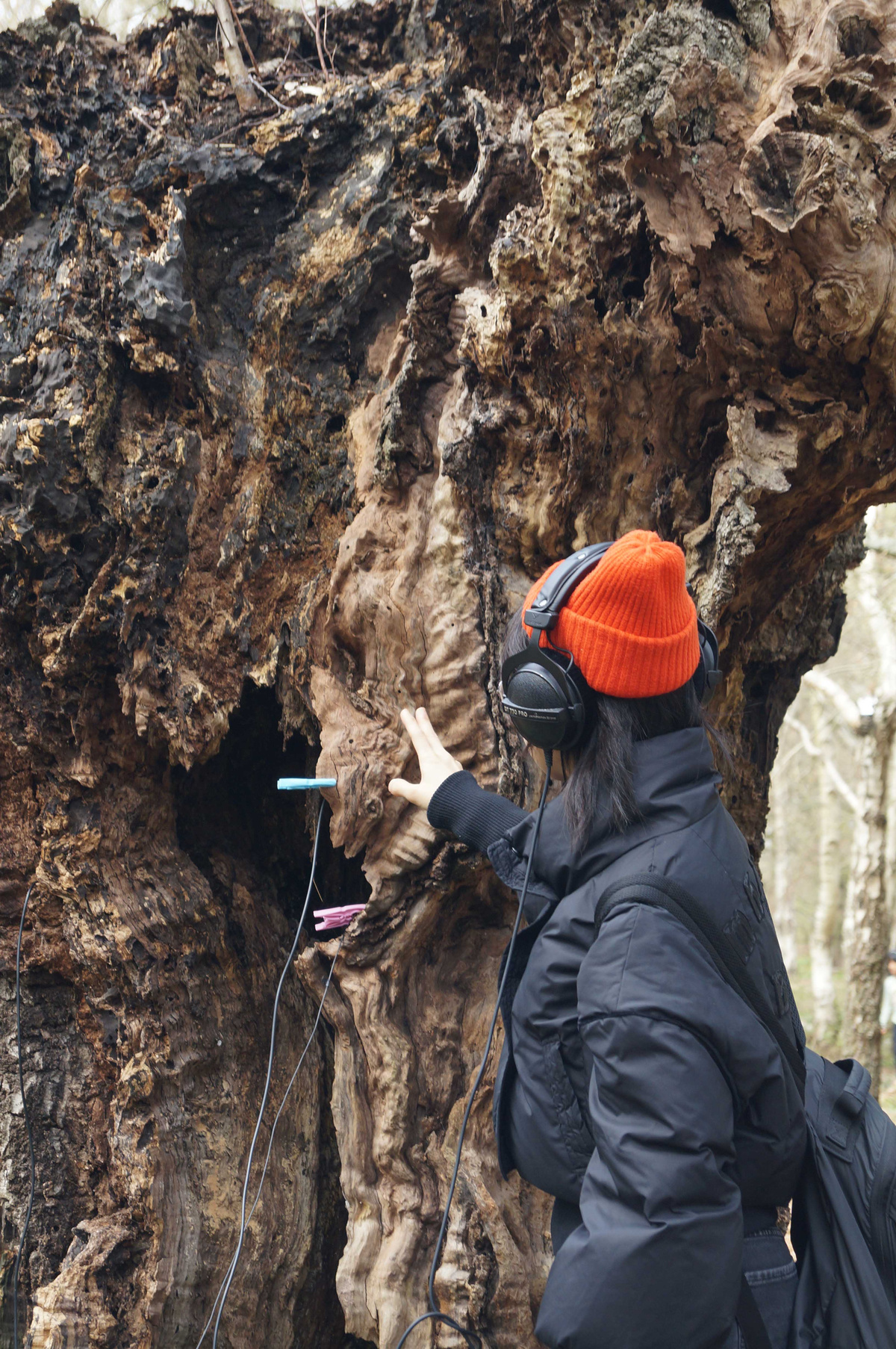 SOIL Wider Community Gathering & Exhibition — Braziers Park