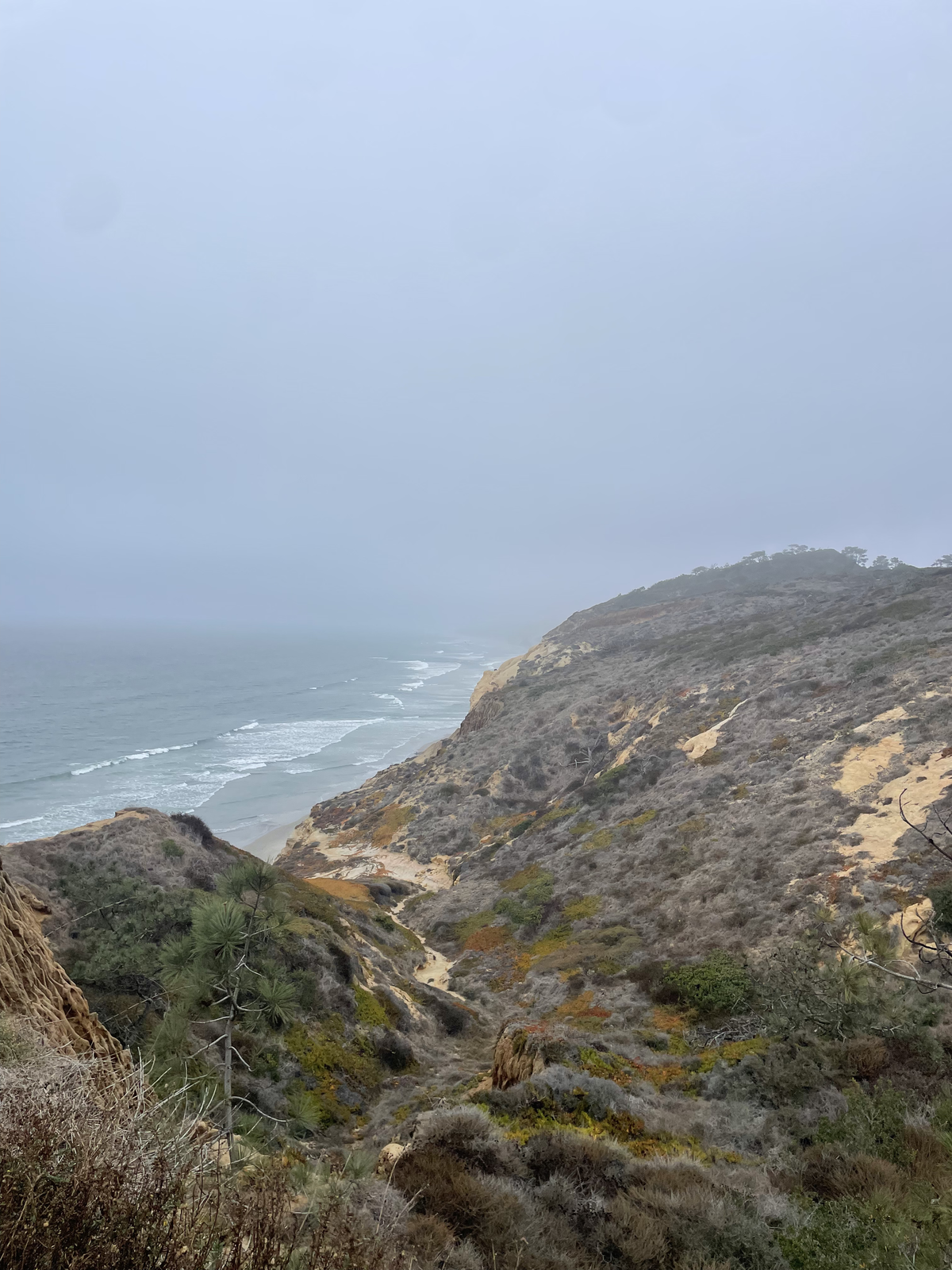 News > #0009 — Jinwoo Lee