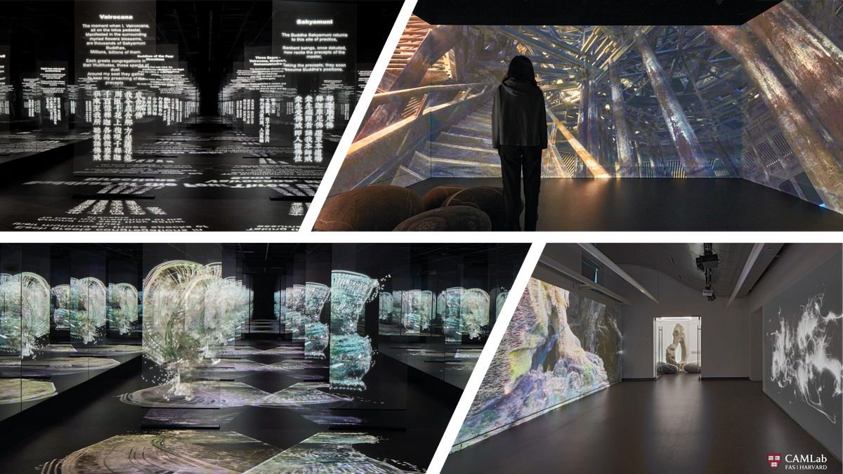 Harvard FAS CAMLab - Cave Dance — SUKI VIOLET SU