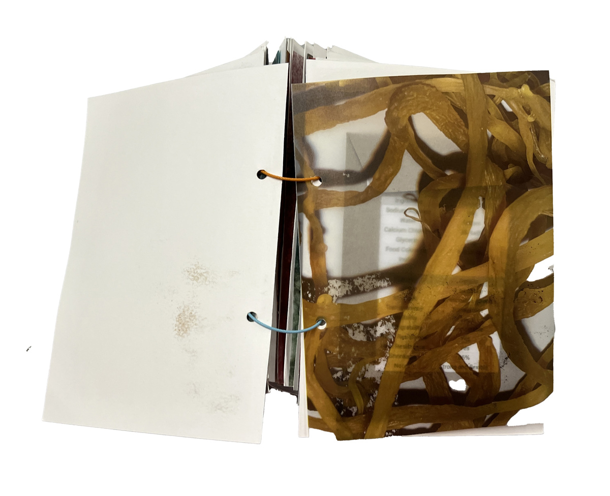 ARTIST RESIDENCY: BIO-MATERIAL RESEARCH — Hansol Park