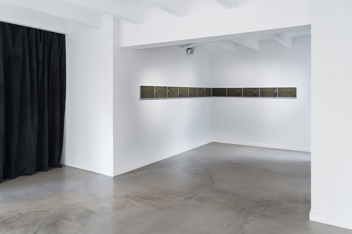 birding — Garrett Pruter