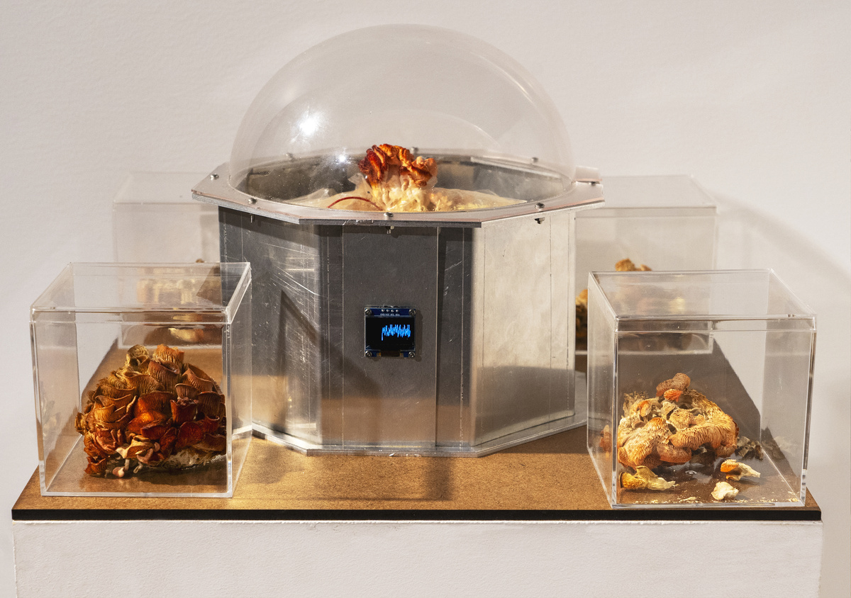 Smart Capsule — yuanyitao